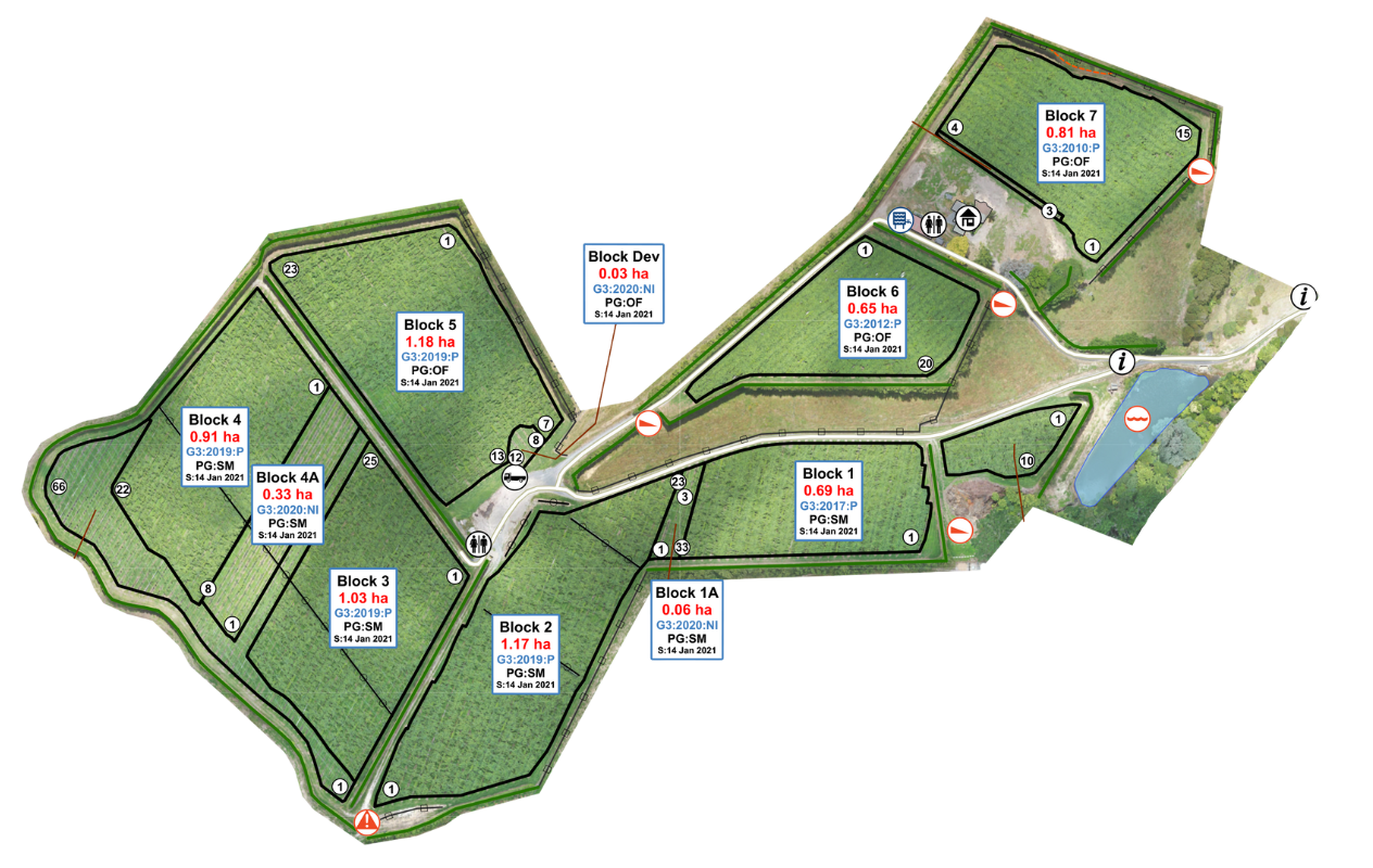 Orchard Mapping | GPSit